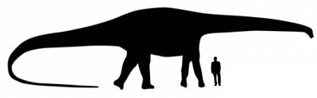 Diplodocus - Dinosaur Facts for Kids